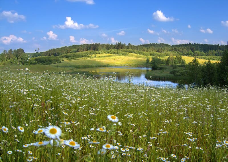 Paisaje del verano imagen de archivo. Imagen de flores - 28066919
