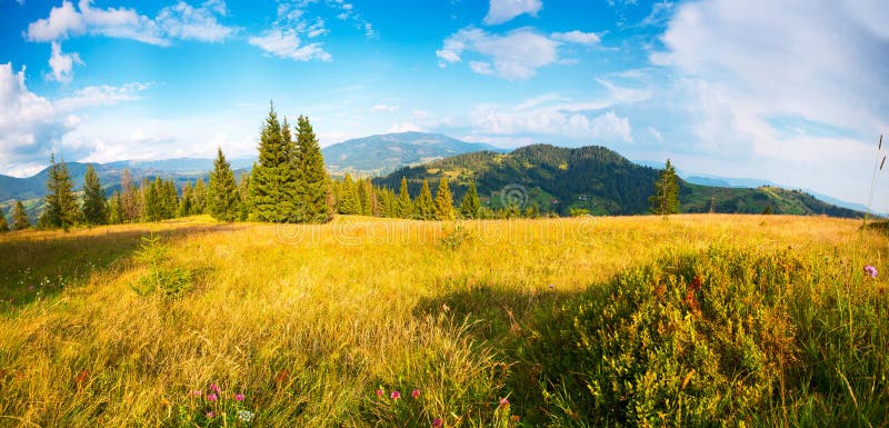 Paisaje Del Verano Imagen. Imagen: 1859666