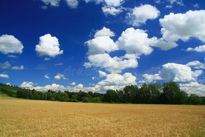Paisaje en verano imagen de archivo. Imagen de cosecha - 2880059