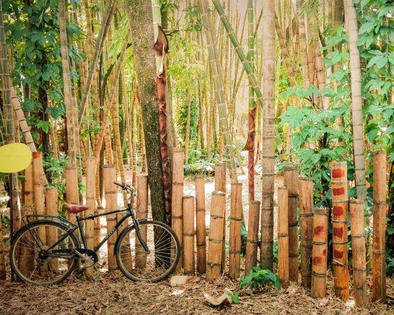 Bicicleta En Aleman Stock Photos - Free & Royalty-Free Stock Photos from Dreamstime