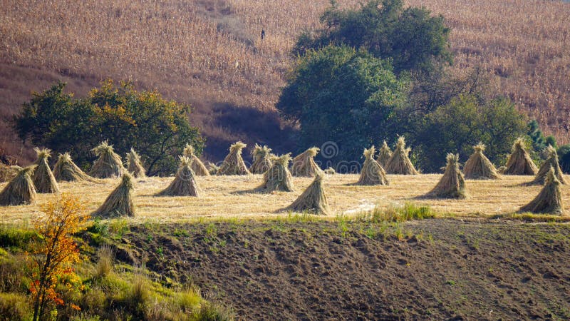 Paisaje rural mexicano imagen de archivo. Imagen de campos - 54053553
