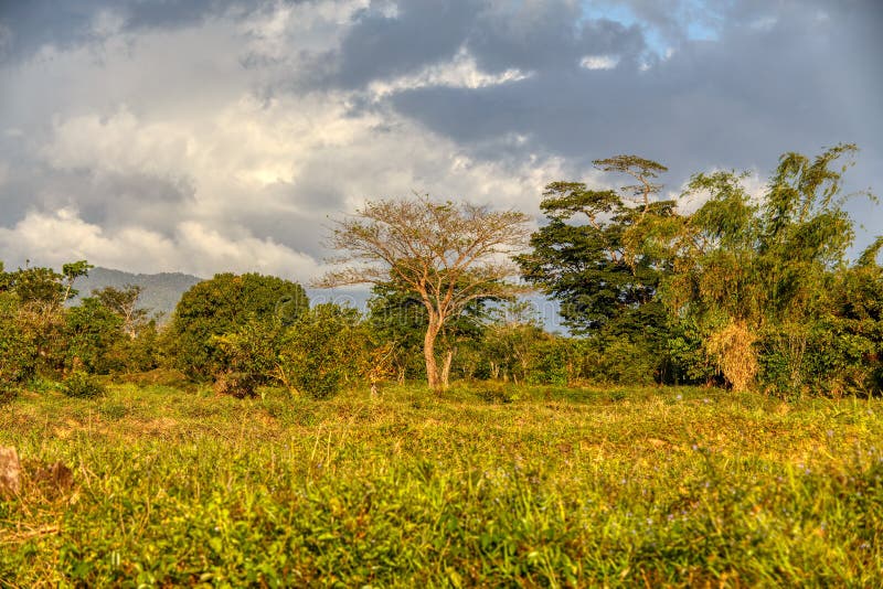 Paisaje Natural Tradicional De Madagascar Imagen de archivo - Imagen de ...