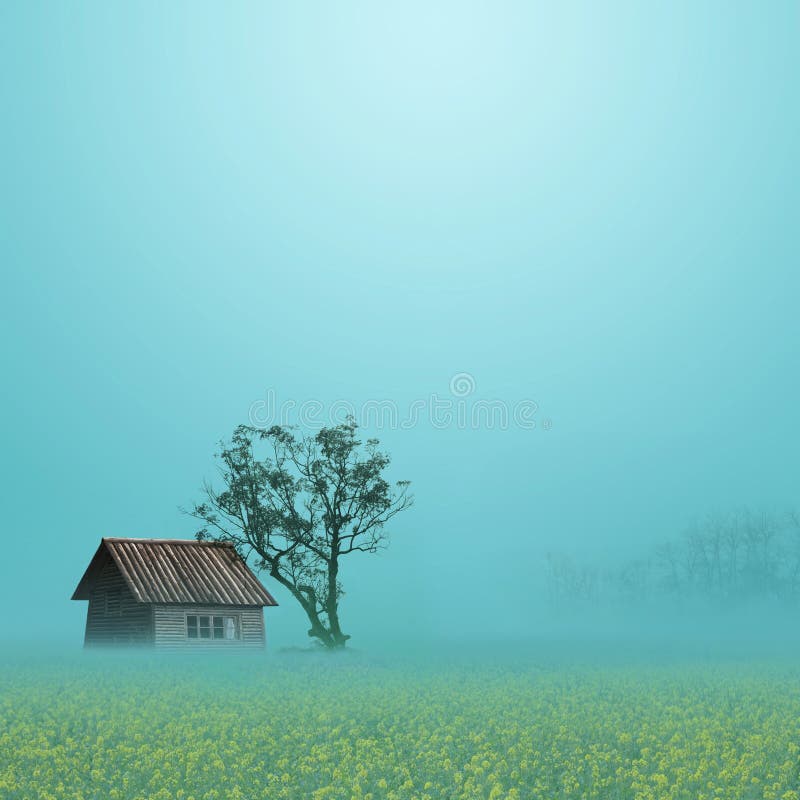 Paisaje rural imagen de archivo. Imagen de hermoso, niebla - 15955289