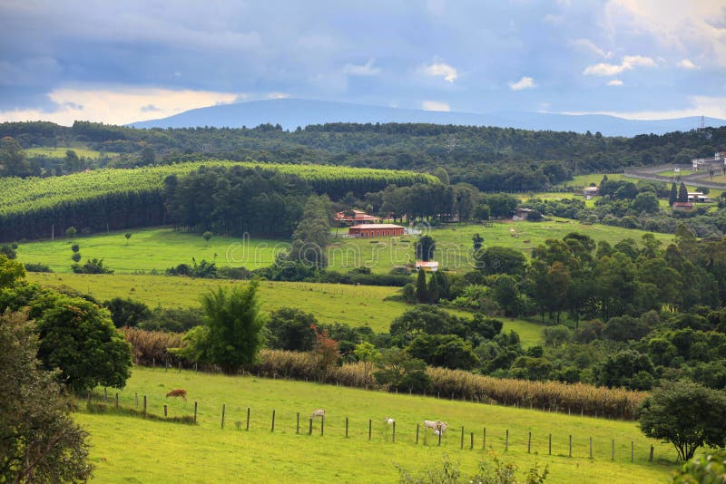 Paisaje rural en Brasil foto de archivo. Imagen de pasto - 85864992
