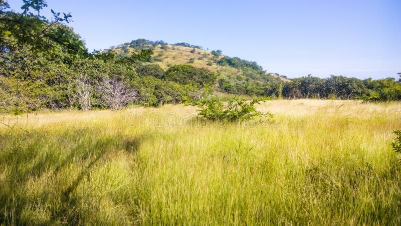Paisaje rural mexicano imagen de archivo. Imagen de latino - 114875999