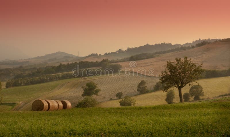 3,645,596 Paisajes Rurales Fotos de stock - Fotos libres de regalías de ...