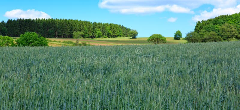 Paisaje simple imagen de archivo. Imagen de paisaje - 113560019