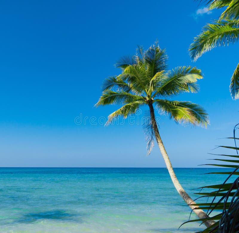 Paisaje soleado imagen de archivo. Imagen de arena, escena - 47655305