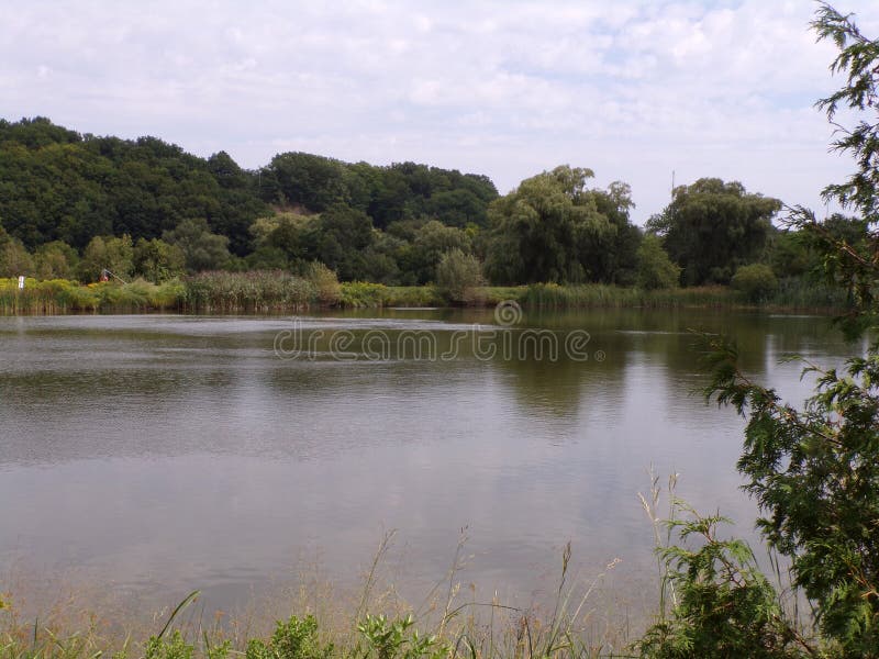 Paisaje somero con lago foto de archivo. Imagen de agua - 255232020