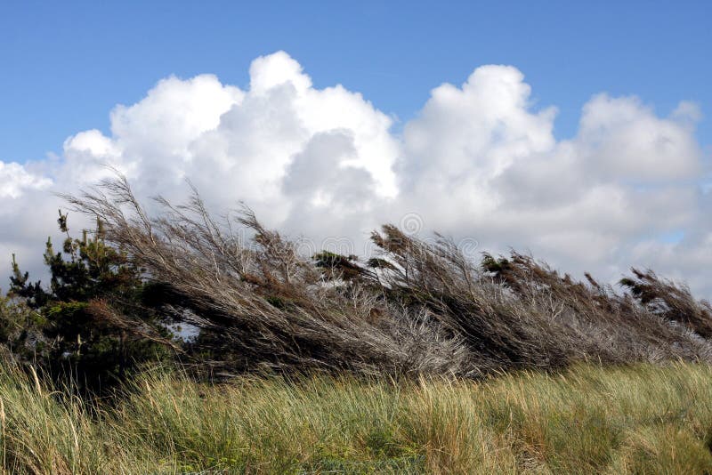 Paisaje ventoso imagen de archivo. Imagen de viento, francia - 76352249