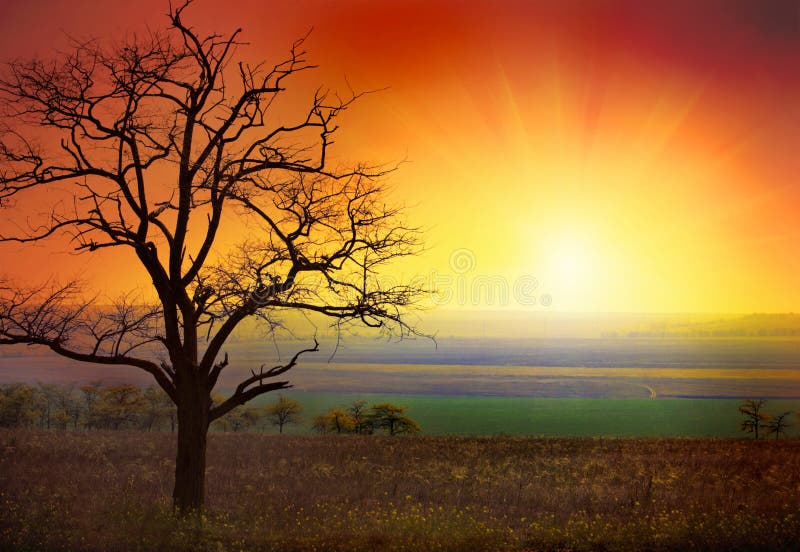 Paisaje Y Salida Del Sol Hermosos Foto de archivo - Imagen de cielo ...