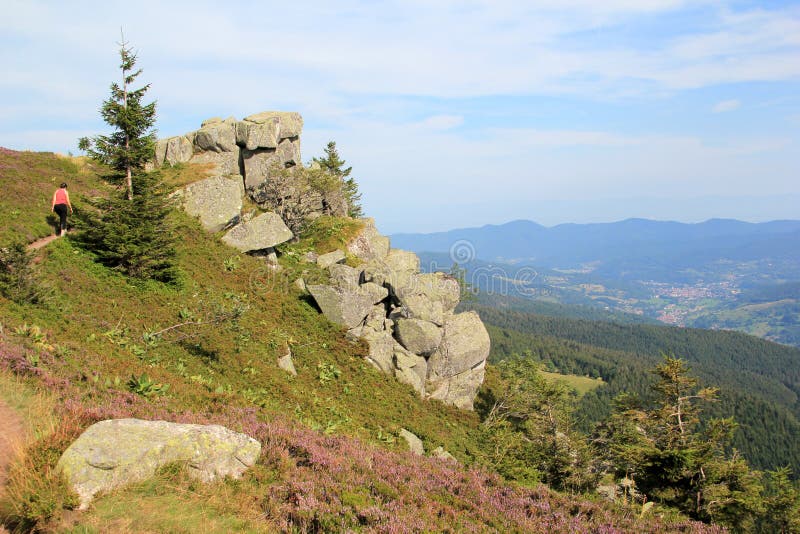 Paisajes de los Vosgos imagen de archivo. Imagen de francia - 39739631