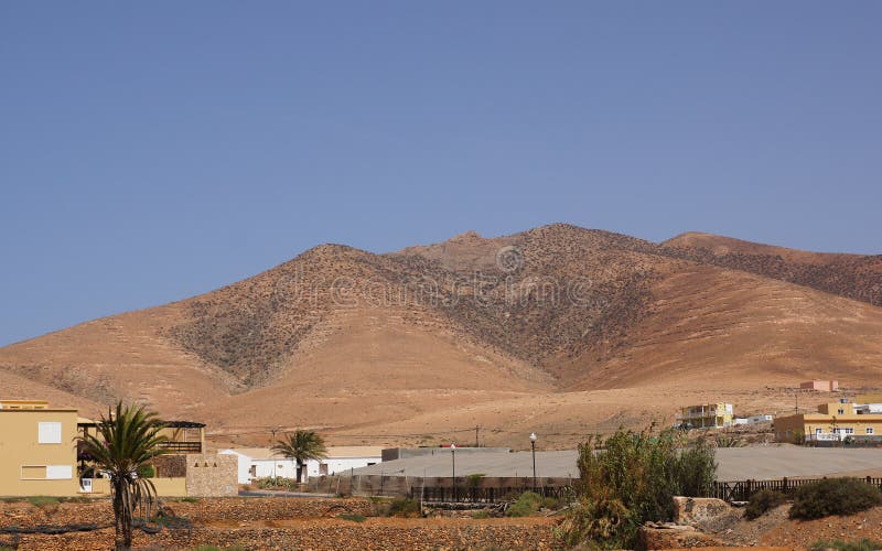 Pajara imagem de stock. Imagem de pajara - 47290477