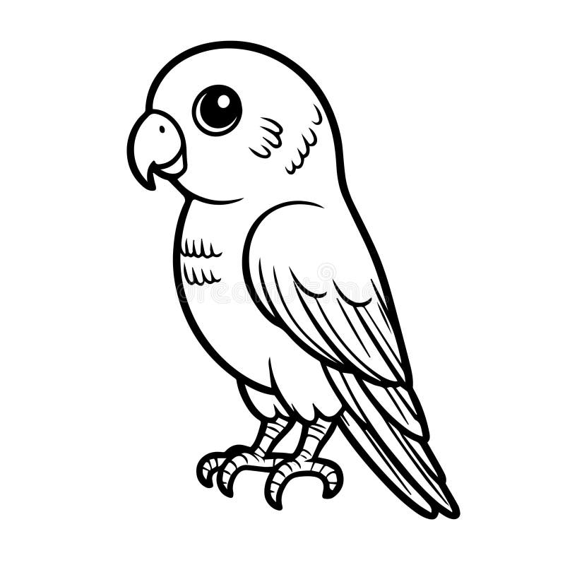 Line Drawing of a Bird in Black and White for Coloring Vector Stock ...