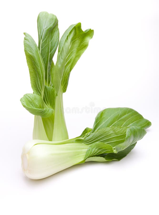 Pak Choi stock photo. Image of culinary, chinese, closeup - 34988338