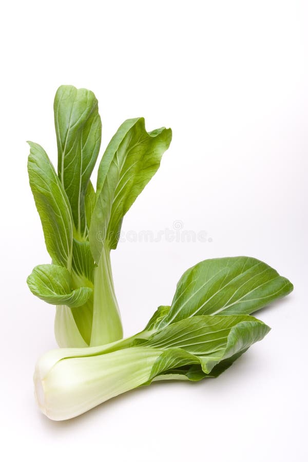 Pak Choi stock photo. Image of culinary, chinese, closeup - 34988338