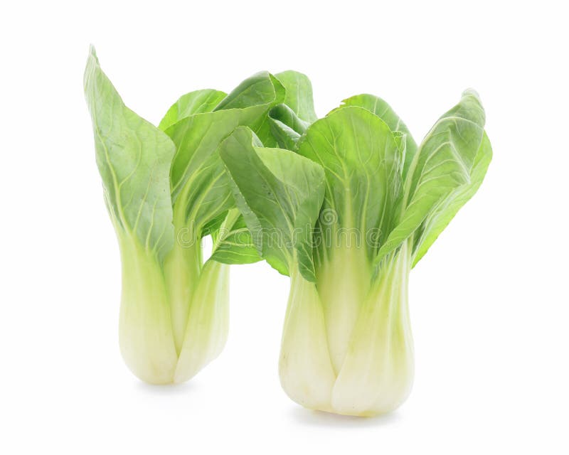 Pak Choi Green Vegetable Isolated on White Stock Image - Image of white ...