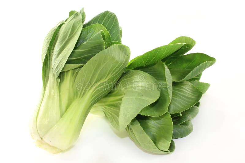Pak Choi stock photo. Image of culinary, chinese, closeup - 34988338
