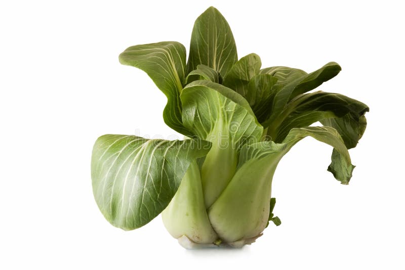 Pak Choi stock photo. Image of culinary, chinese, closeup - 34988338