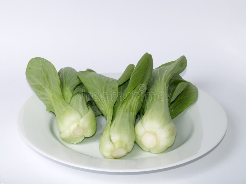 Pak Choi stock photo. Image of choi, food, vegetable, plate - 566132