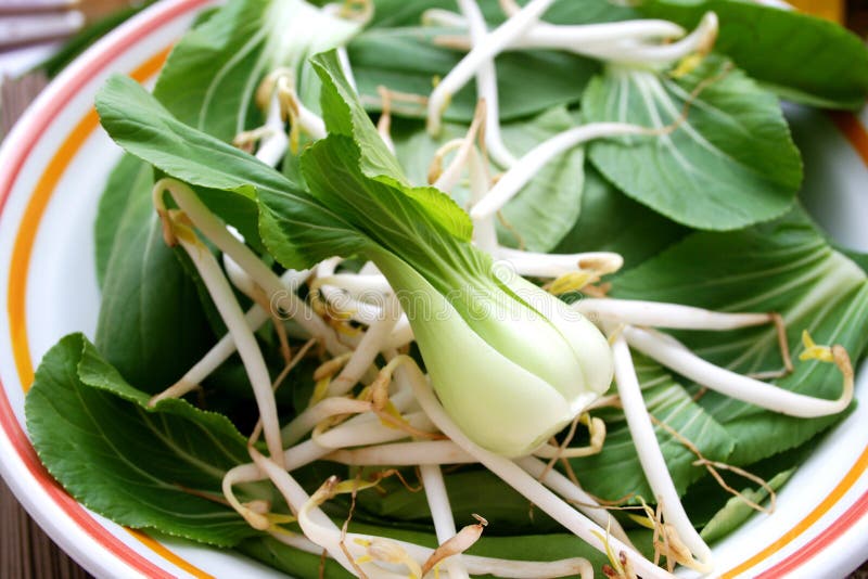 Pak Choi stock photo. Image of culinary, chinese, closeup - 34988338