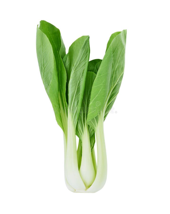 Pak Choi aislado foto de archivo. Imagen de sano, comestible - 100333986