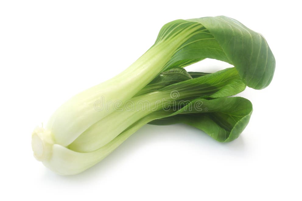 Pak Choi foto de archivo. Imagen de dieta, comer, blanco - 165653554