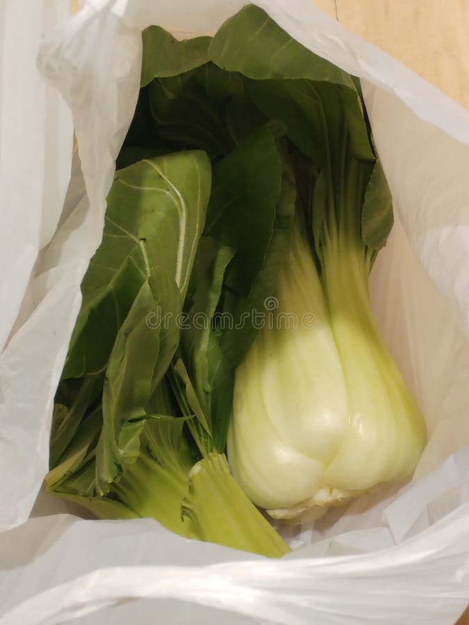 Pak choi in a bag stock photo. Image of plastic, choi - 126869294