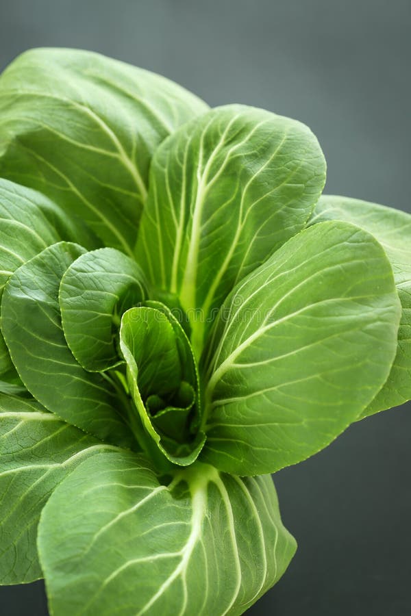 Pak Choi or Bok Choy stock image. Image of asian, vegetable - 53542885