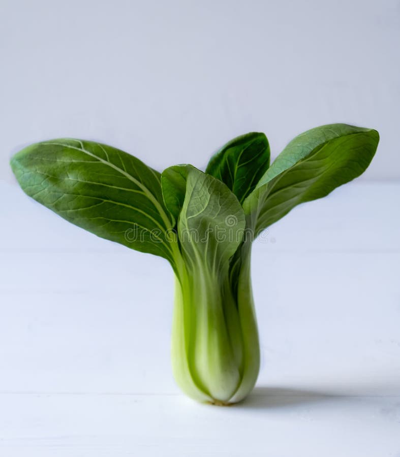 Pak Choi Chinese Cabbage Isolated on White Stock Photo - Image of ...