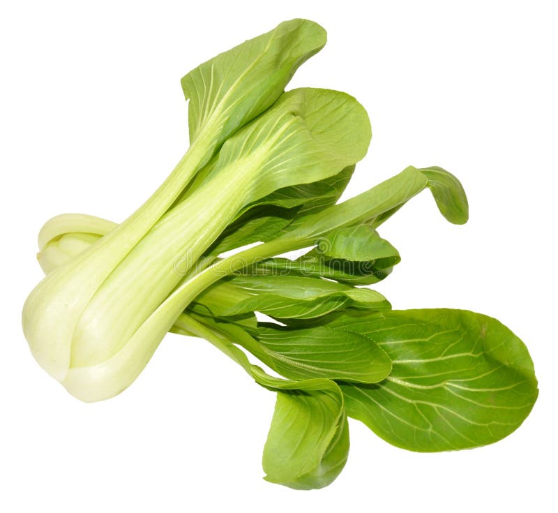 Pak Choi Chinese Cabbages stock photo. Image of leaves - 38185940