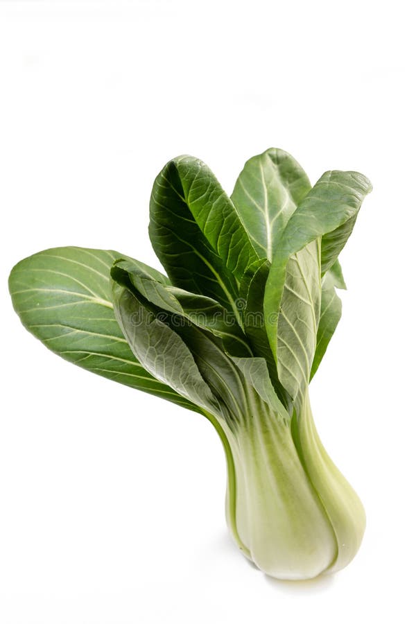 Pak Choi S Vegetables Plant with Hidroponic Metode Stock Photo - Image ...