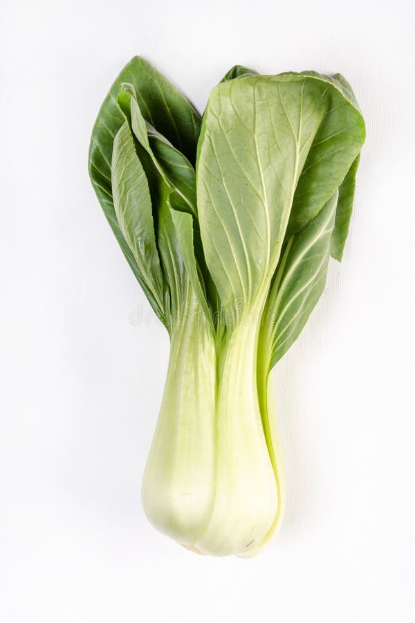 Pak Choi S Vegetables Plant with Hidroponic Metode Stock Photo - Image ...