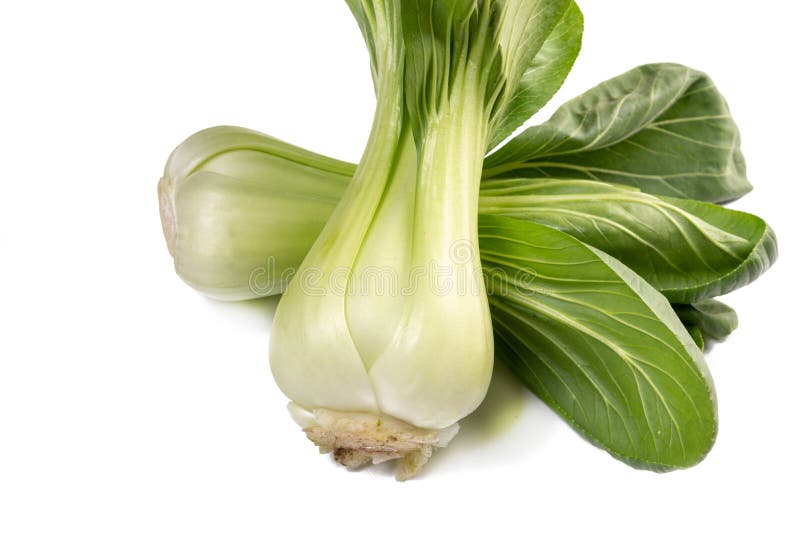 Pak Choi S Vegetables Plant with Hidroponic Metode Stock Photo - Image ...