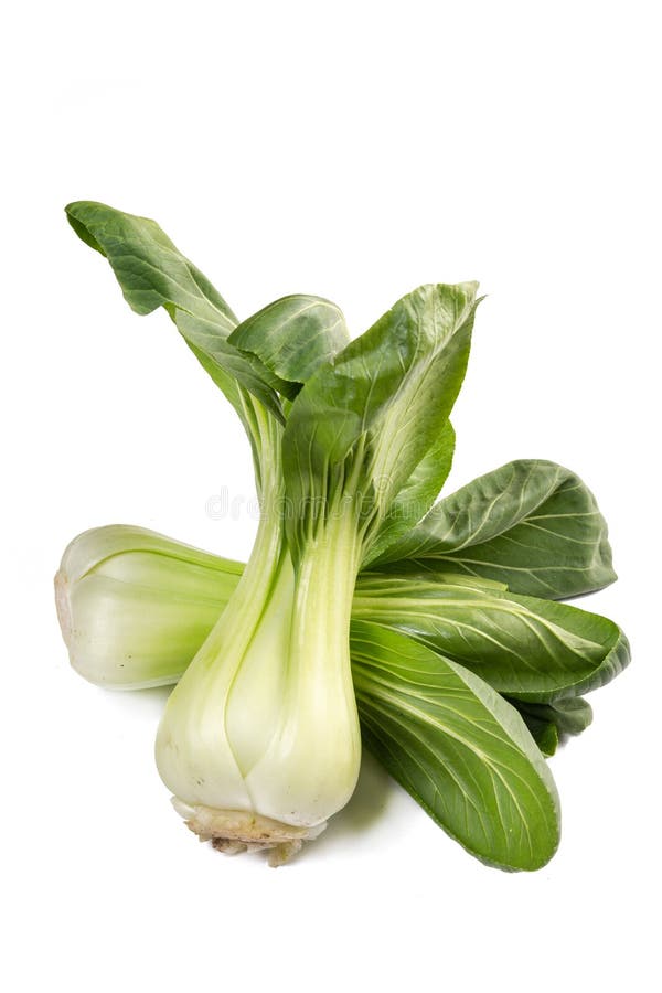 Pak Choi S Vegetables Plant with Hidroponic Metode Stock Photo - Image ...