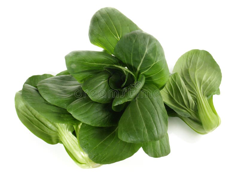 Pak Choi on White Background - Isolated Stock Photo - Image of chinese ...