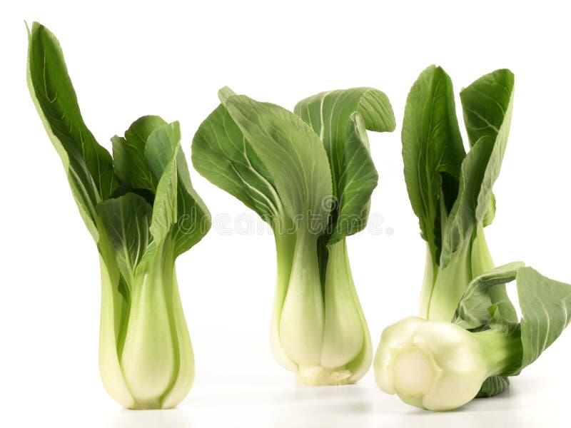 Pak Choi on White Background - Isolated Stock Photo - Image of cooking ...