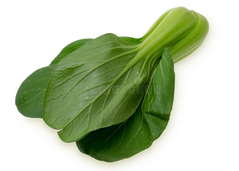 Pak Choi in a White Background Stock Photo - Image of greens, food ...