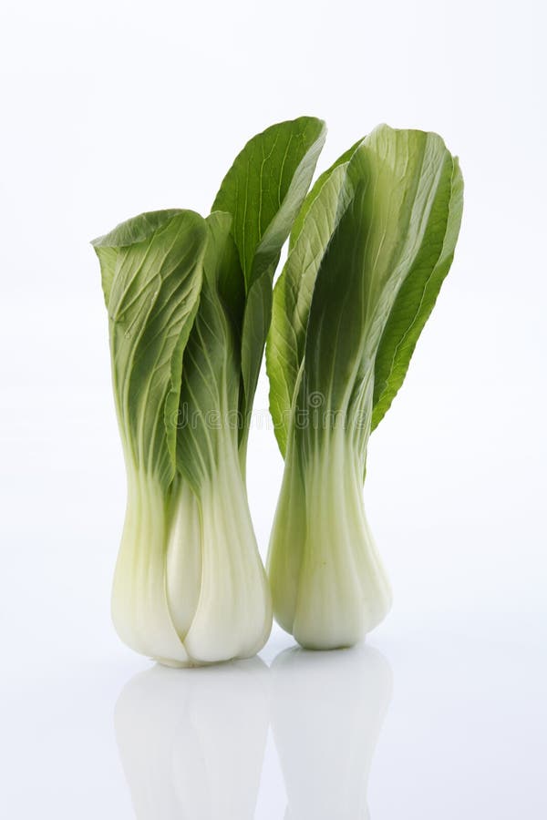 Pak choy stock photo. Image of choy, kitchen, chinese - 63908432