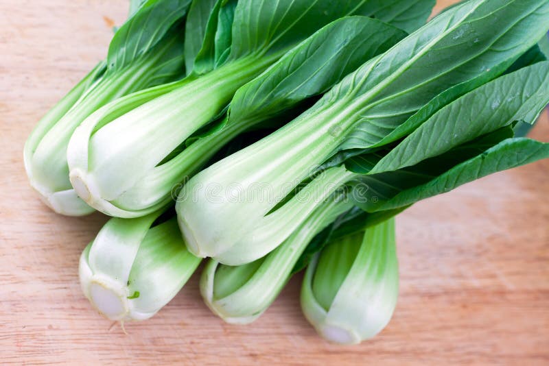 Pakchoi cabbage leaves stock image. Image of natural - 26695241