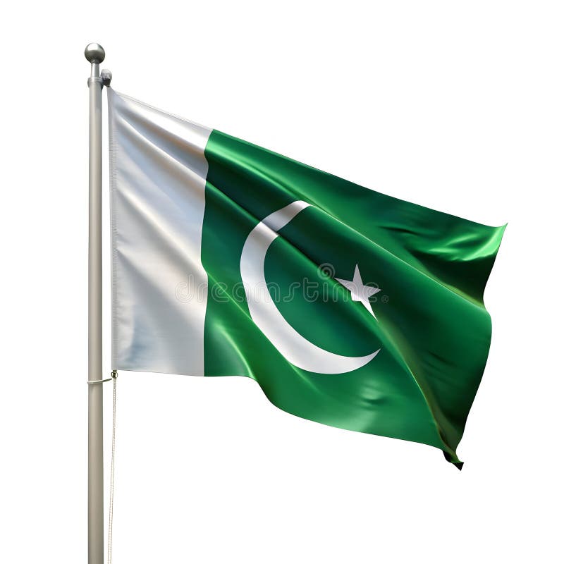 Pakistan Flag on White Background Stock Illustration - Illustration of ...