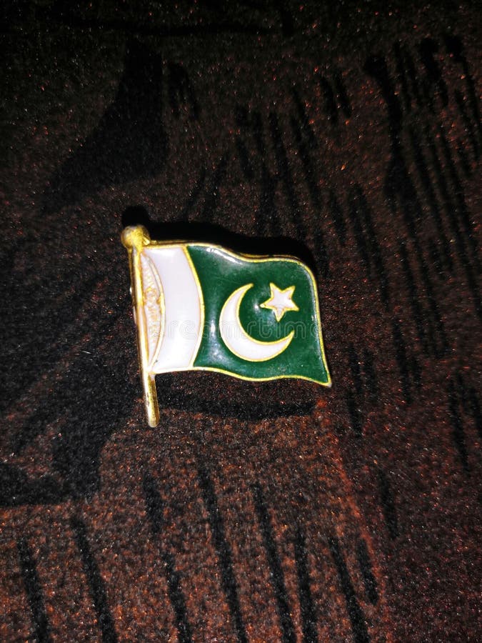 Pakistani flag green stock image. Image of sign, logo - 180659879
