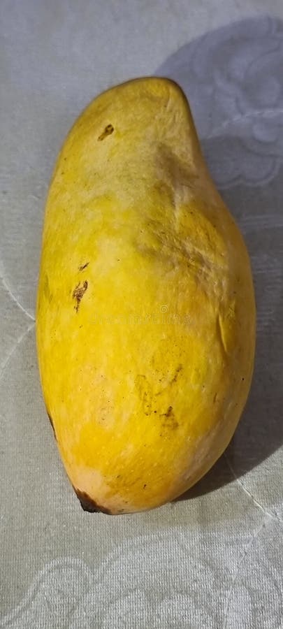 426 Pakistani Mango Stock Photos - Free & Royalty-Free Stock Photos ...