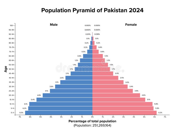 Population Pyramid of Pakistan 2024, Age Structure Diagram Stock ...