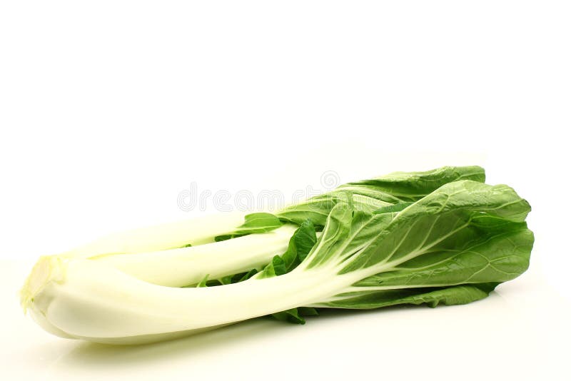 Paksoi stock photo. Image of agriculture, nature, tasty - 14320278