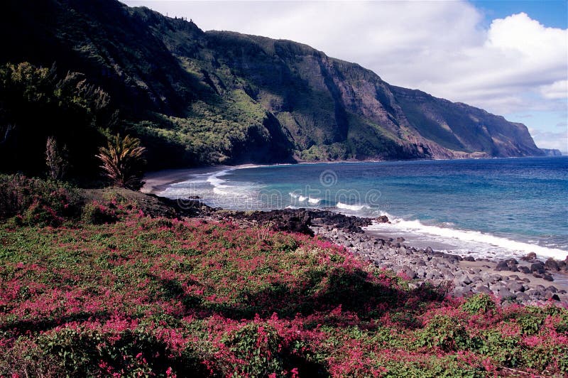 Palaa u State Park stock image. Image of harbor, hawaii - 4194625
