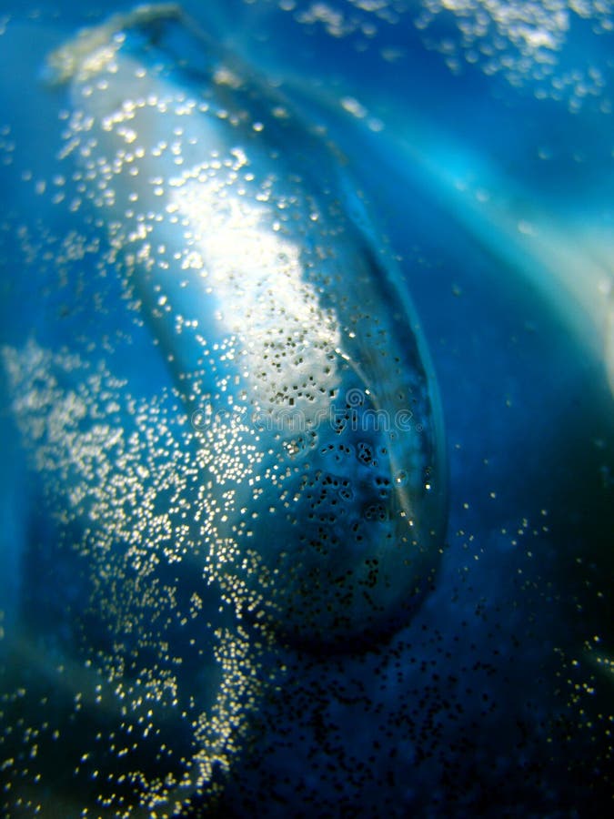 Palabra azul imagen de archivo. Imagen de burbujas, aire - 5818307