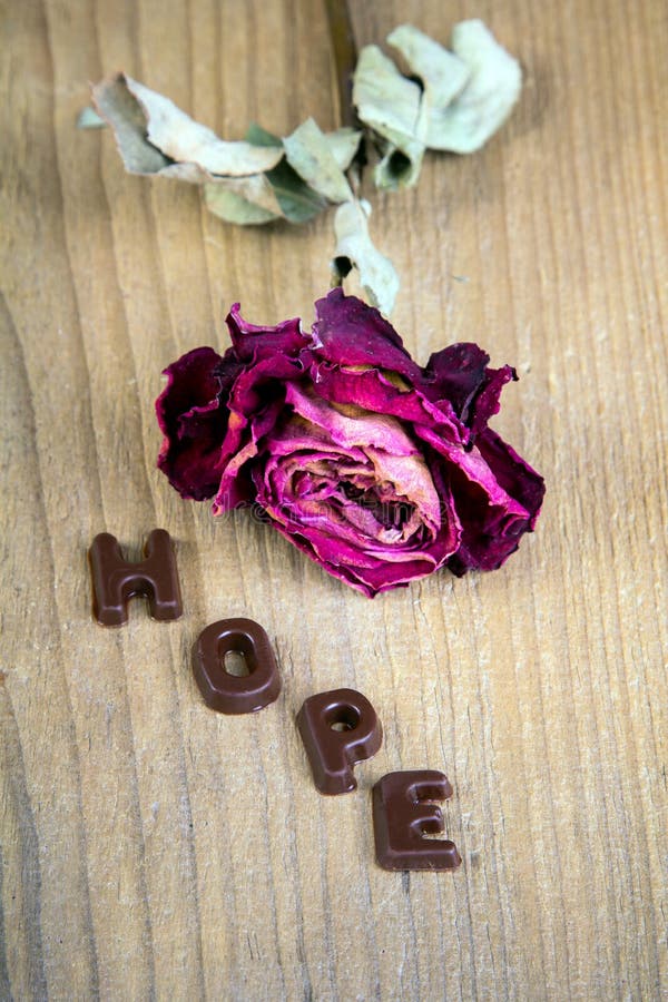 Palabra Color De Rosa Y Del Chocolate Secada ESPERANZA Imagen de ...