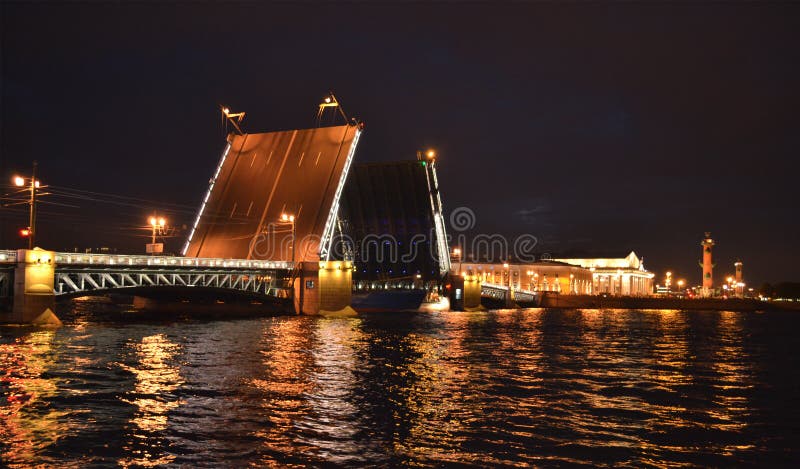 Palace Bridge in Night St. Petersburg Stock Photo - Image of nightlife ...