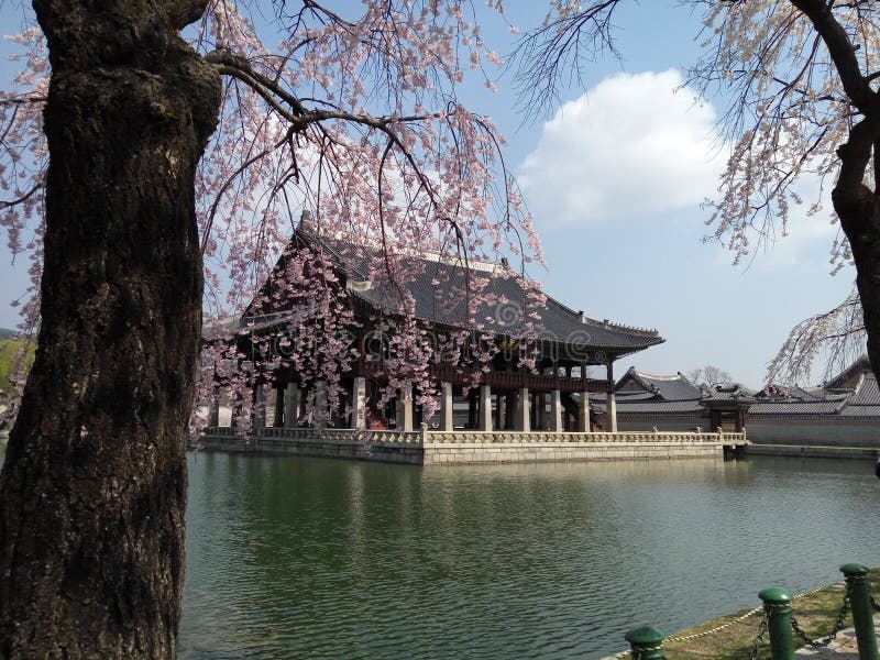 Spring in palace stock image. Image of korea, spring - 98759393